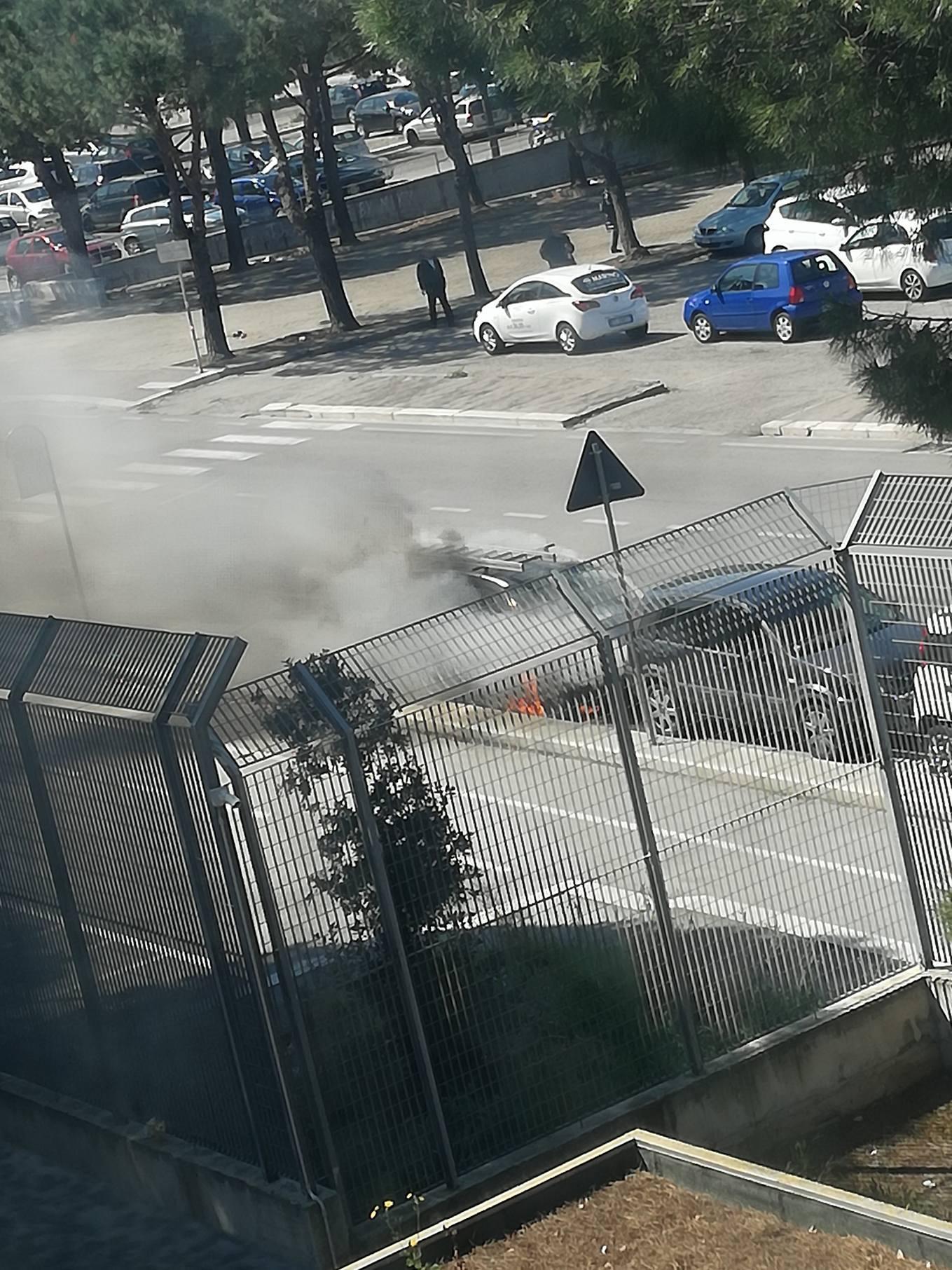 Bari, nell'auto incendiata maschera e doppiofondo - Foto 2 di 7 - La ...