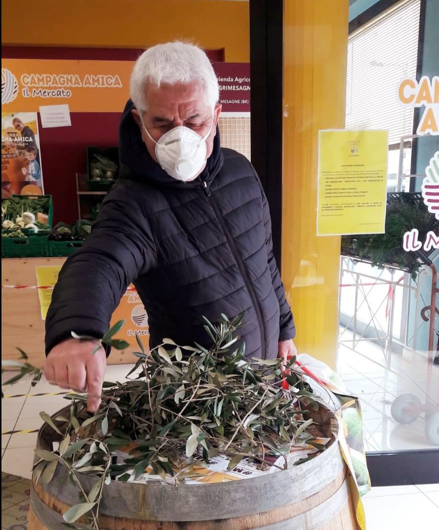 Brindisi, ramoscelli d'ulivo in dono al mercato contadino - Foto 3 di 9 ...