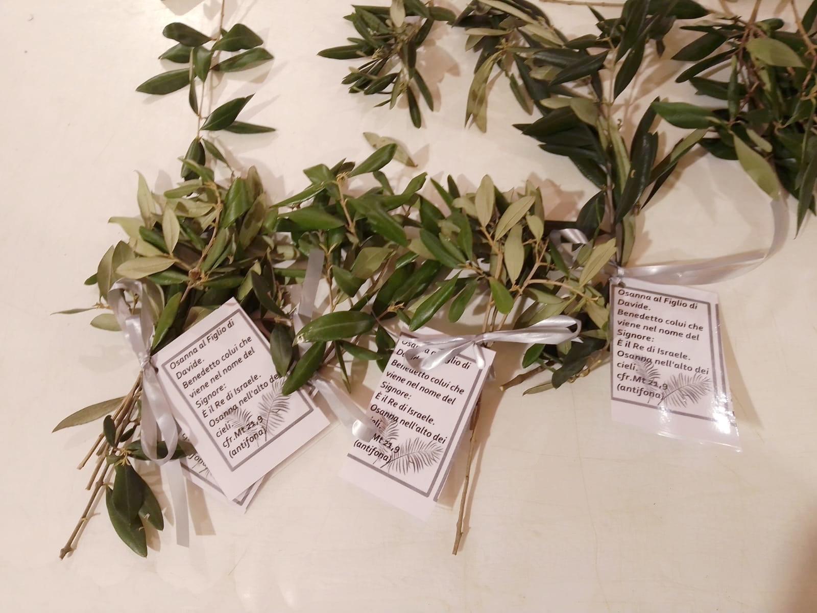 Brindisi, ramoscelli d'ulivo in dono al mercato contadino - Foto 3 di 9 ...