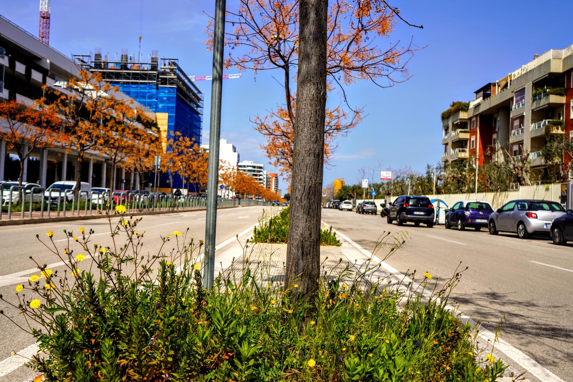 Viaggio nelle strade di Bari, ecco Via Mazzitelli: salotto sull’abisso ...