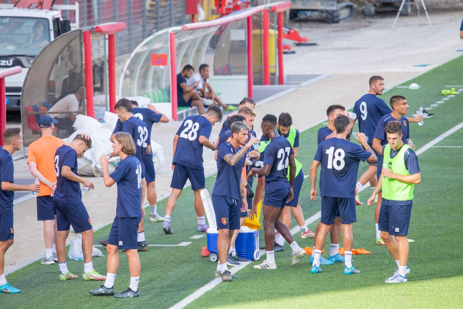 Potenza calcio, restyling in corso allo stadio Viviani e via agli ...