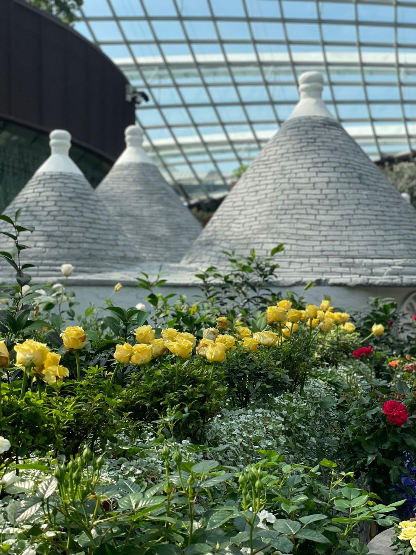 I trulli pugliesi incantano Singapore nella mega serra Flower Dome ...