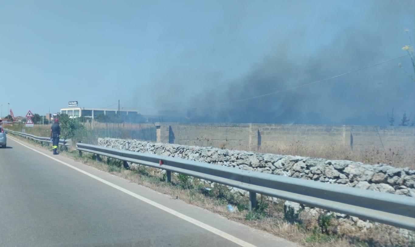 Surano, le fiamme divampano lungo la Statale 275: paura per opifici ...