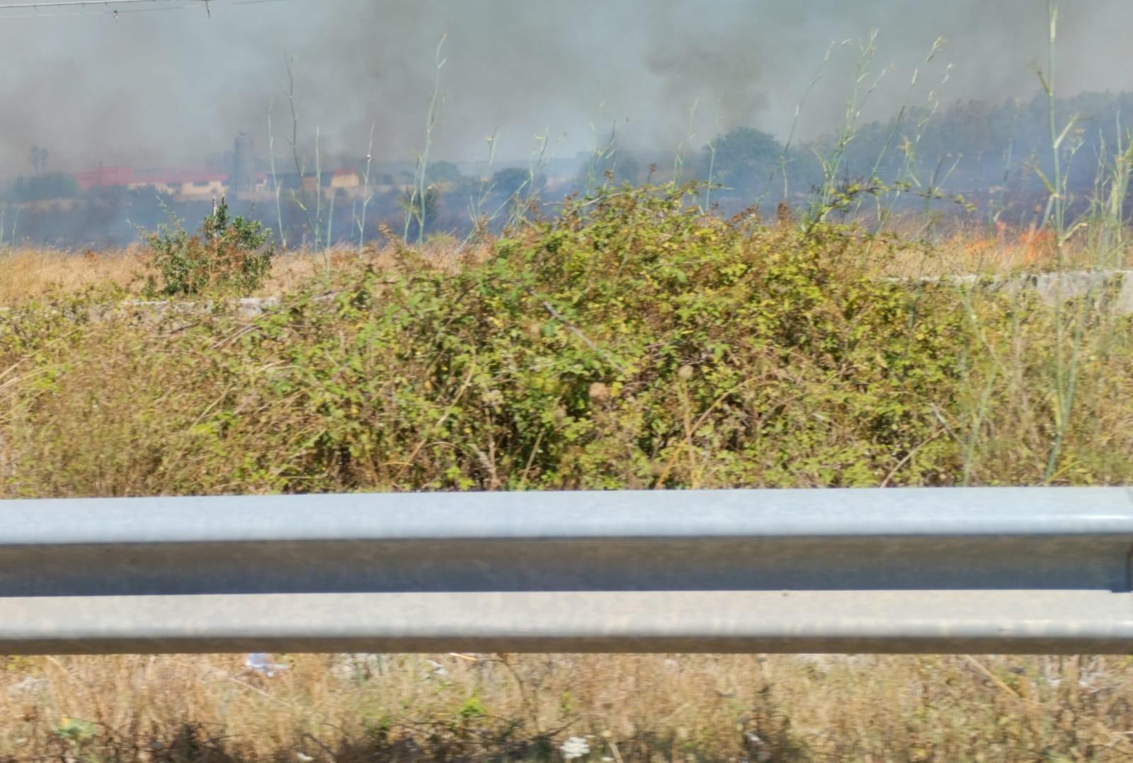 Surano, le fiamme divampano lungo la Statale 275: paura per opifici ...