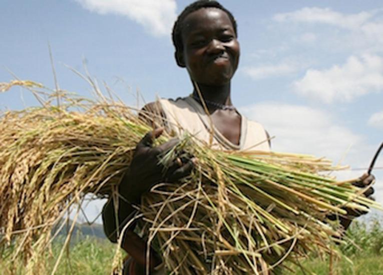 L’ Africa partner prezioso per l’Italia e per l’Europa - La Gazzetta ...