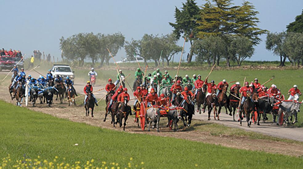 Chieuti, la «corsa dei buoi» accende il paese - La Gazzetta del Mezzogiorno