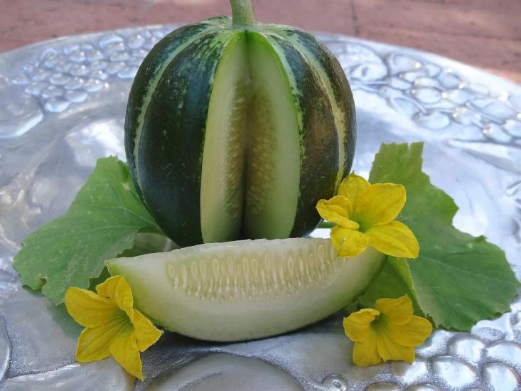 Il New York Times consacra i caroselli pugliesi: «Sono meglio dei ...