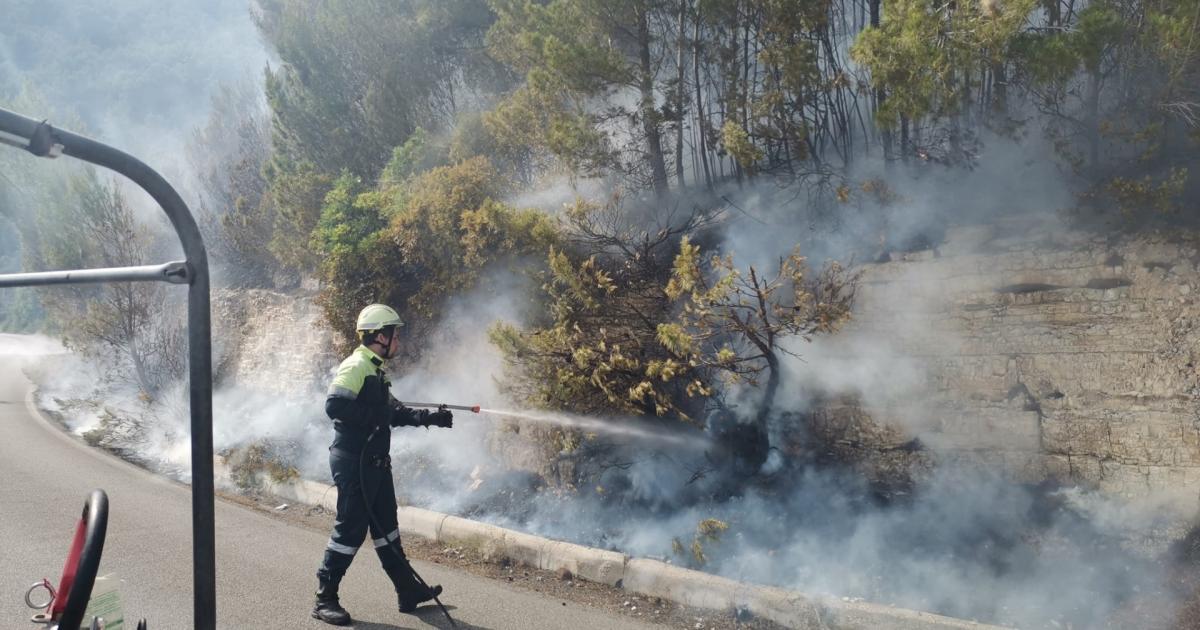 Monte Sant'Angelo, dopo gli incendi la rabbia: «Pene severe» - La Gazzetta del Mezzogiorno