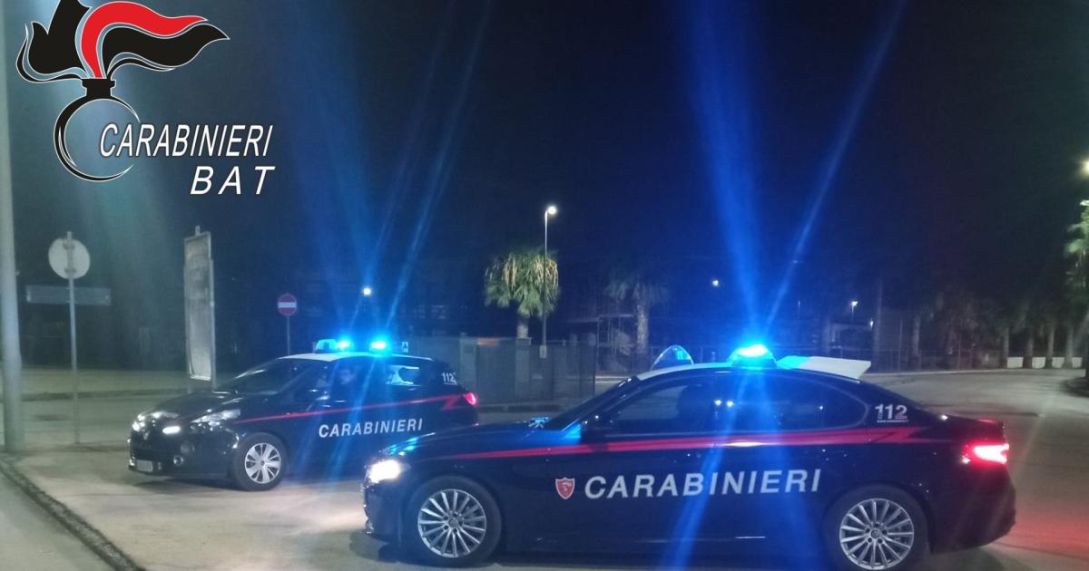 Trani, blitz all'alba: 9 arresti per estorsione, incendi e mafia - La Gazzetta del Mezzogiorno