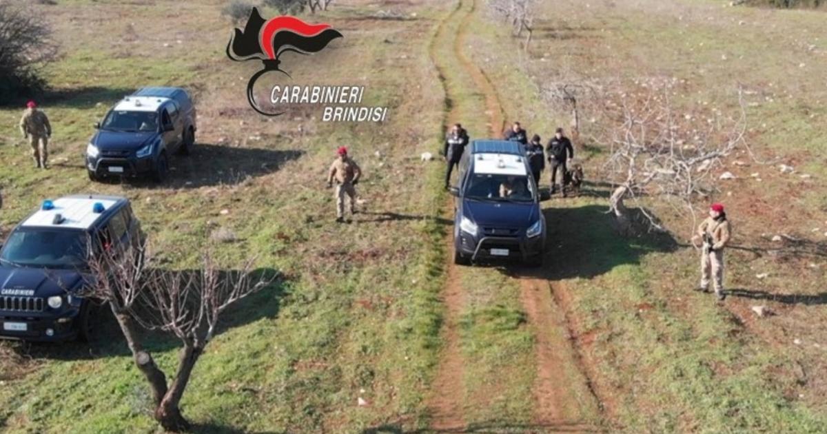 Nuove leve della Scu, chieste trenta condanne per il clan tra Brindisi e San Vito - La Gazzetta ...