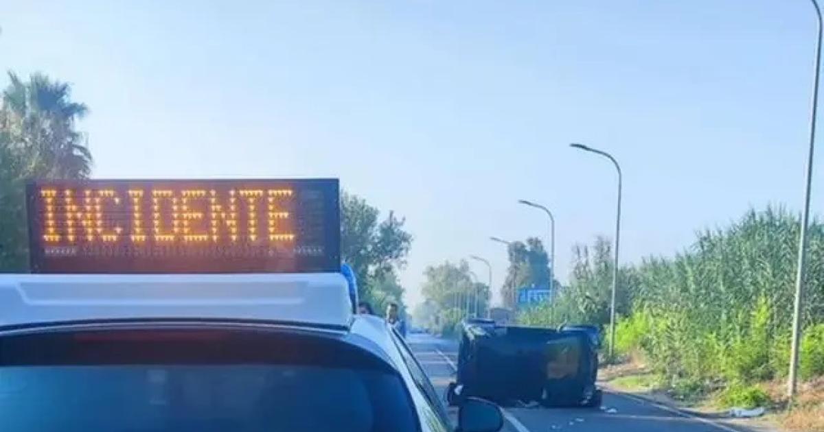 Latiano, camion si ribalta e perde carico di legna: 2 feriti e traffico ...