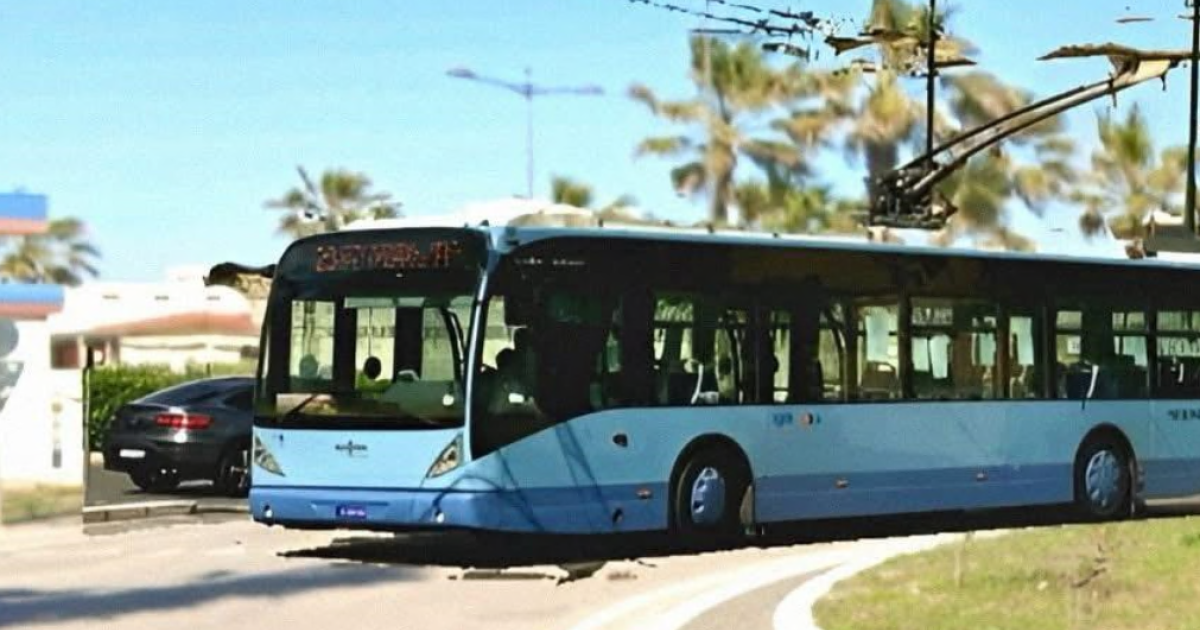 Lecce-San Cataldo, dal 14 giugno collegamenti in bus ogni venti minuti ...