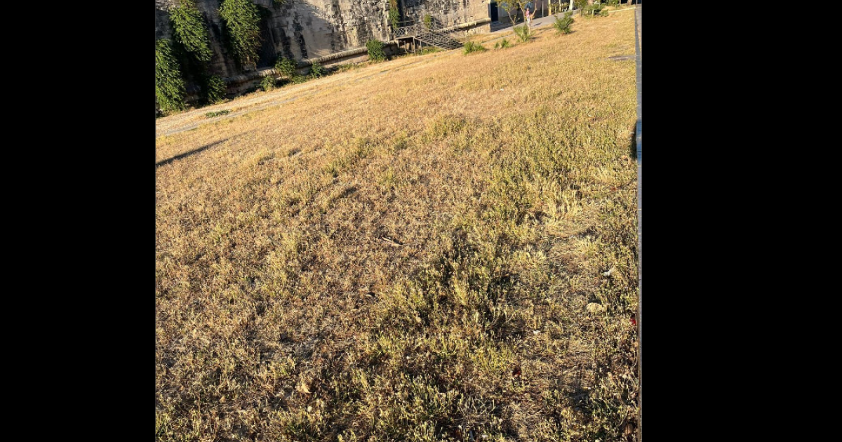 Hania amir sex video xxx she is thick in all the right