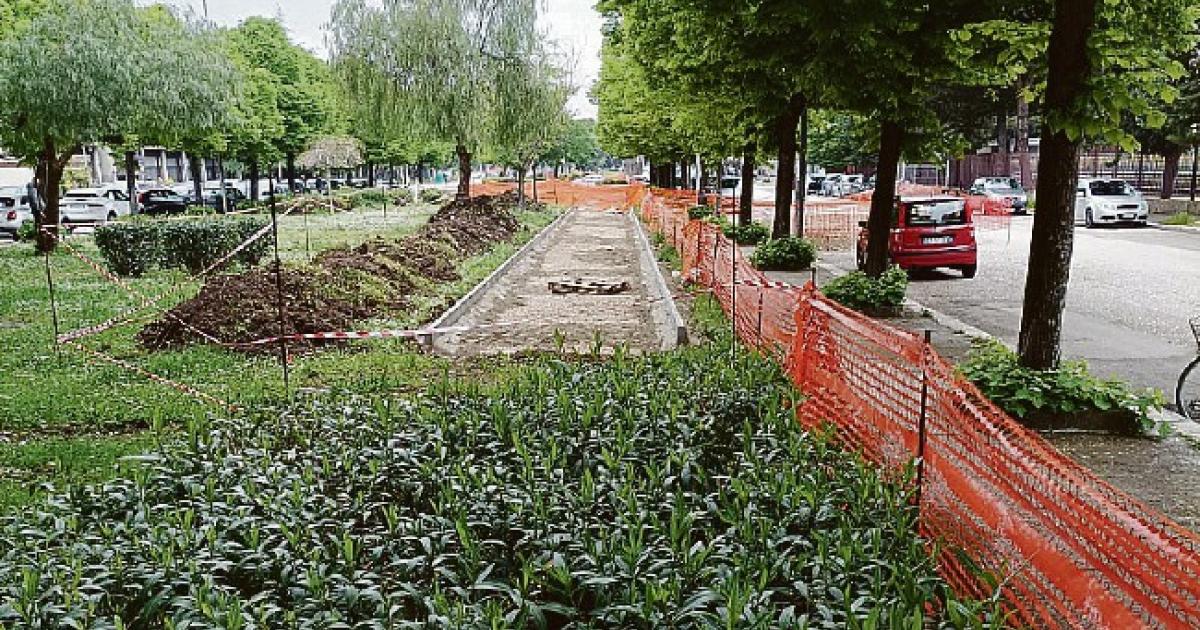 Le piste ciclabili di Foggia? «Pericolose, costose e senza criterio ...