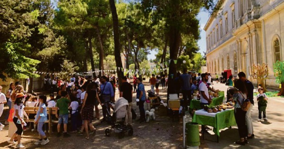 Cime di rapa, una grande festa: l'evento del Gal - La Gazzetta del ...