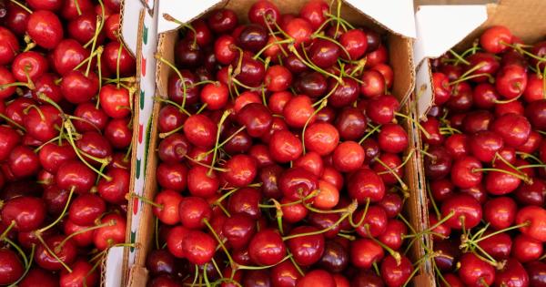 Ciliegia, tra qualità e tradizione: le sagre a Conversano e Turi - La ...