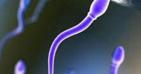 In 20 anni il numero degli spermatozoi nel seme maschile si è dimezzato ...
