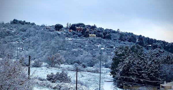 Via ai «giorni della merla», ma in Puglia sembra primavera - La ...