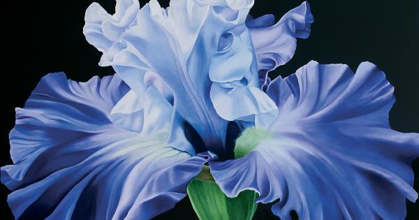 Bari, arriva Flowers: dal 4 maggio in mostra alla galleria SanGiorgio ...