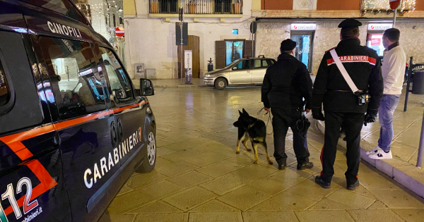 Spaccio di droga in viaggio su Telegram, con spedizioni di marijuana e ...