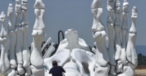 A Forte Belvedere scheletro gigante arte - La Gazzetta del Mezzogiorno