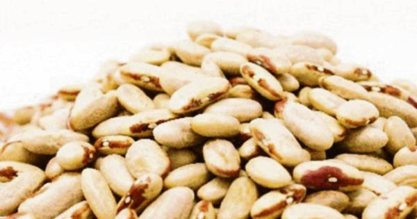 Tutele al fagiolo della «signora» - Gazzetta del Mezzogiorno