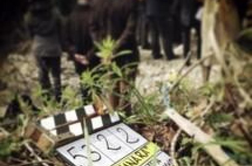 In sala Janara, su leggenda del '700 - La Gazzetta del Mezzogiorno