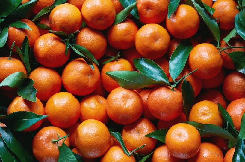 Clementine pugliesi, produzione in forte calo e prezzi sotto i costi ...