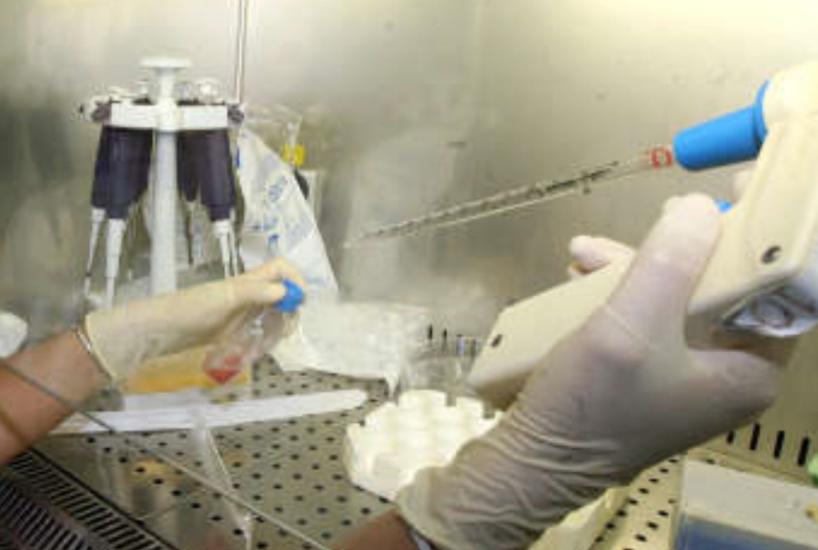 Il Perrino di Brindisi riferimento per i trapianti di cellule staminali ...