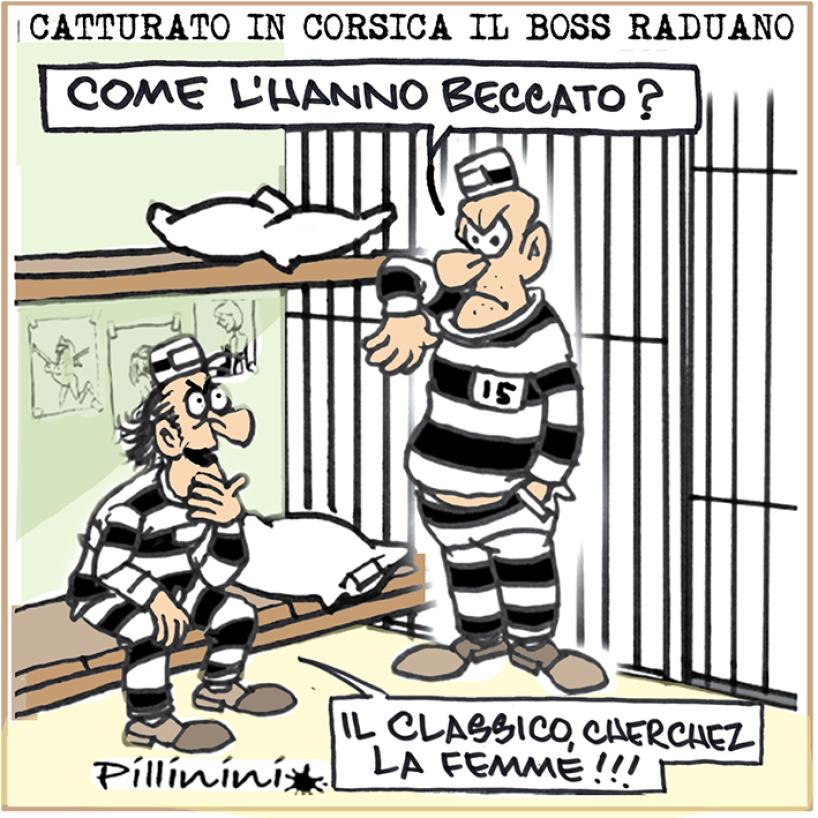 La vignetta del giorno - La Gazzetta del Mezzogiorno