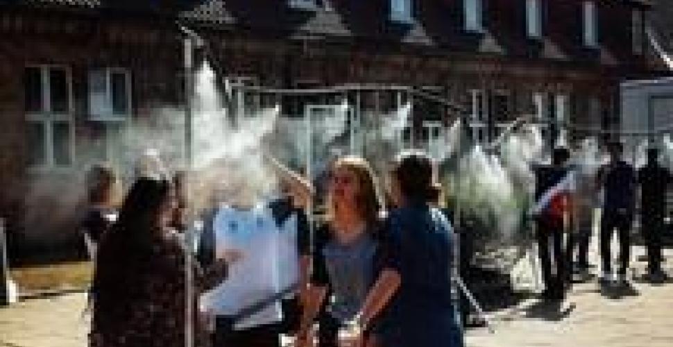 Docce a Auschwitz, choc israeliani - La Gazzetta del Mezzogiorno